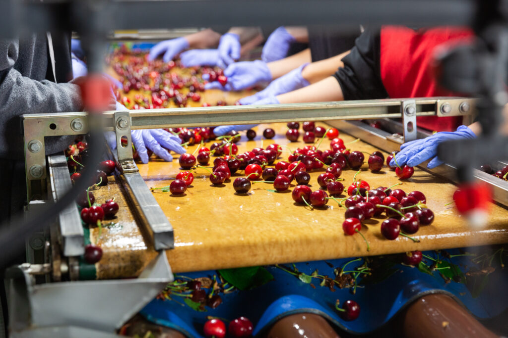 Food Safety Due Diligence National Produce Consultants