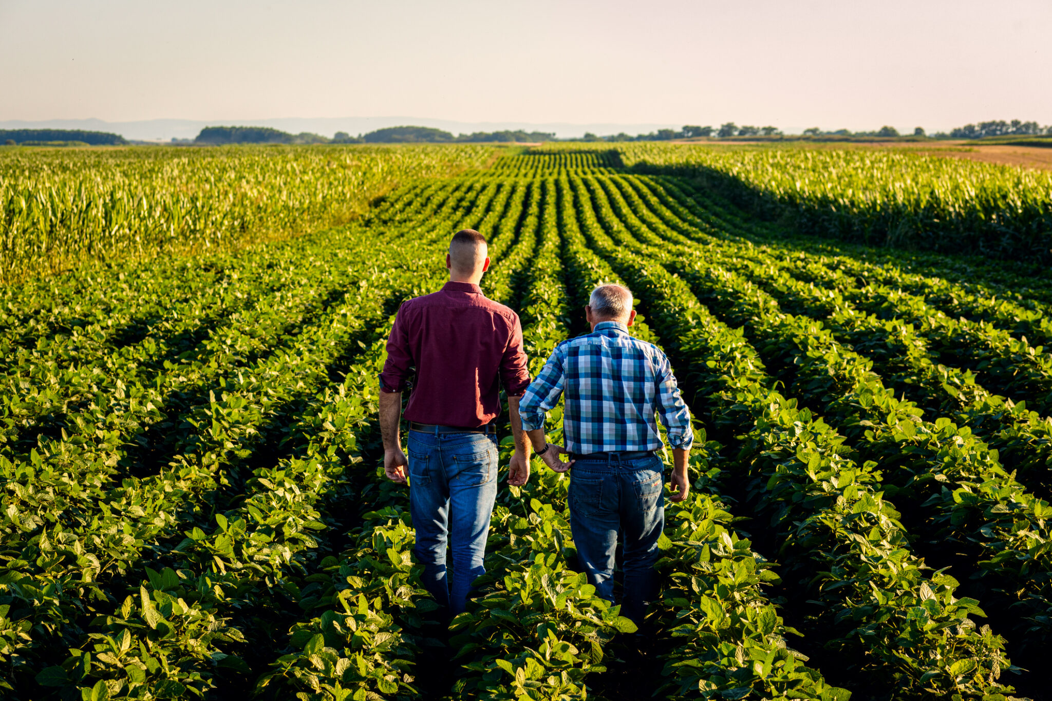 Contact Us - National Produce Consultants